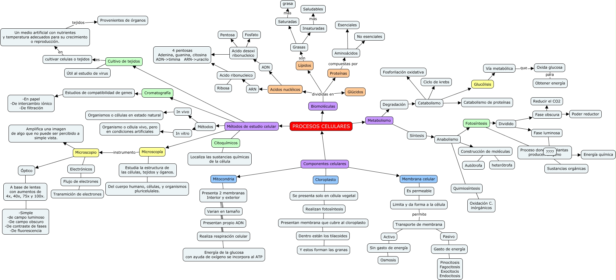 Procesos celulares p2